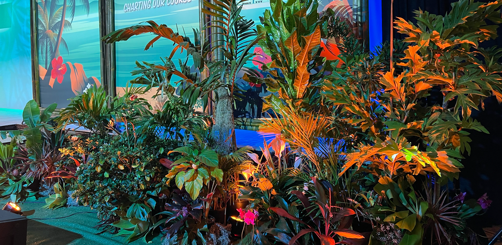 Maui Plant Rentals — Lehua's Forest, Flower Arrangements & Fruit Trees