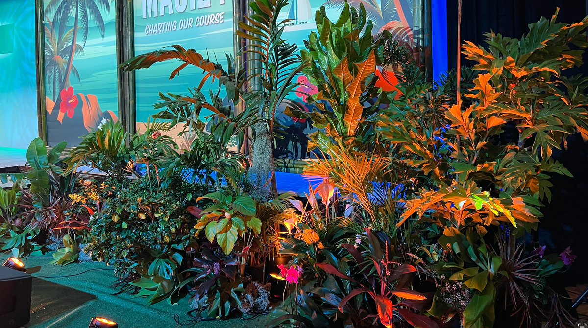 Maui Plant Rentals — Lehua's Forest, Flower Arrangements & Fruit Trees