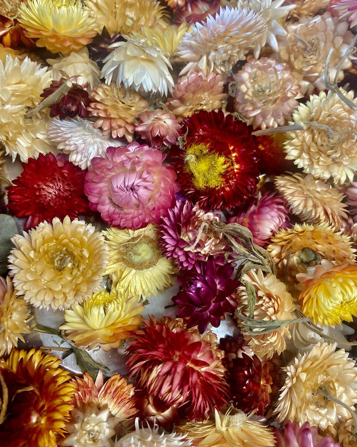 $5 Potpourri Special Mini Sachets — Lehua's Forest, Flower Arrangements ...