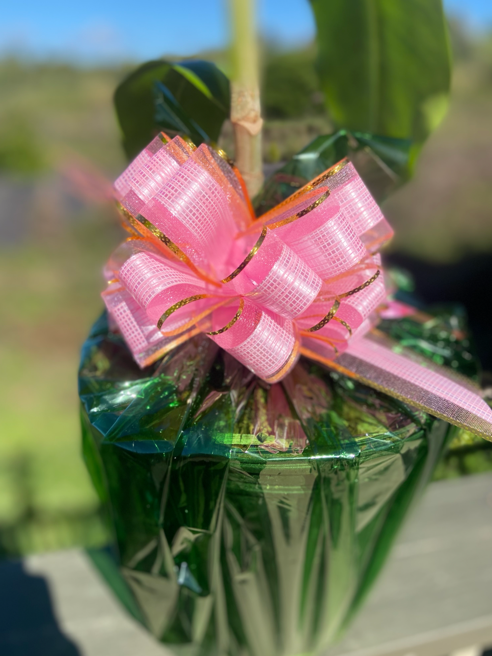 Lehua's Forest, Flower Arrangements & Fruit Trees – Lehua's Forest, Flower Arrangements & Fruit ...