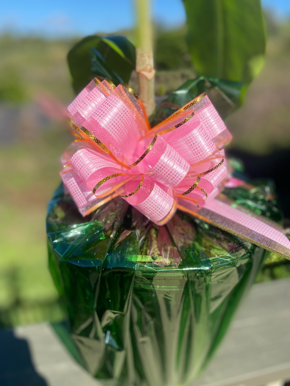 I Love You Mom Puakenikeni — Lehua's Forest, Flower Arrangements & Fruit Trees