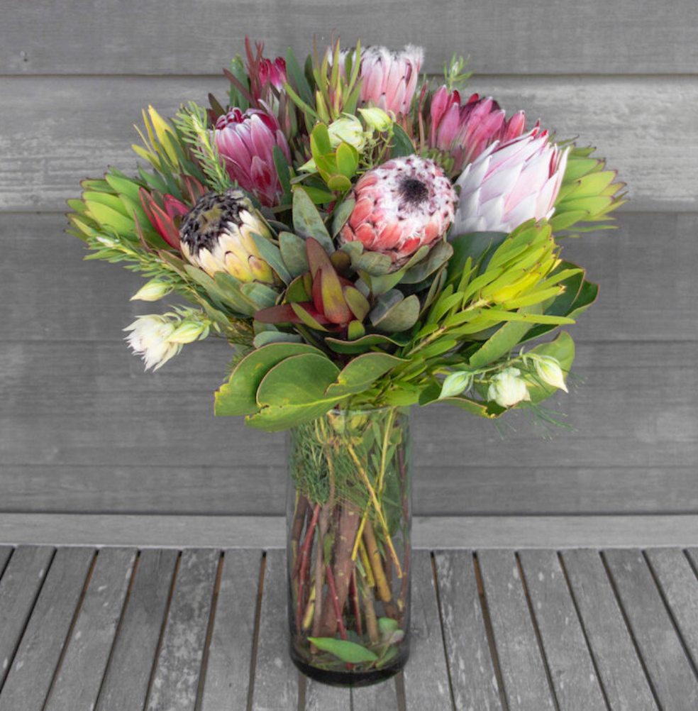 Kula Maui Protea - Country Bouquet – Lehua's Forest, Flower Arrangements & Fruit Trees