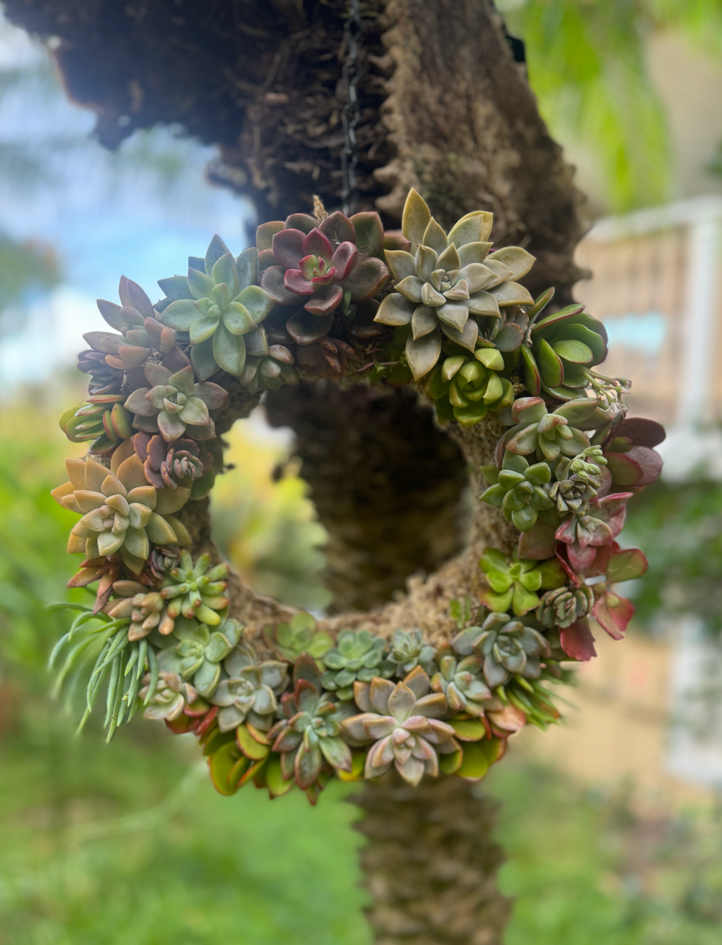 The Elite — Lehua's Forest, Flower Arrangements & Fruit Trees