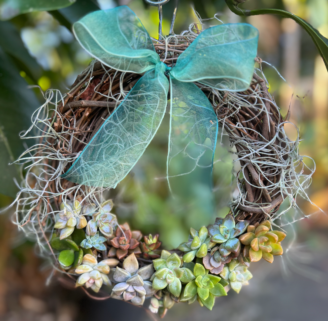 New Year Sentiment - Succulent Wreath — Lehua's Forest, Flower Arrangements & Fruit Trees