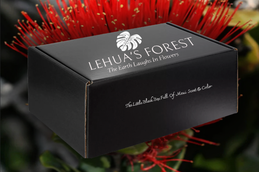 Hawaii Made Gift Boxes ~ The little Black Box from Maui ~ Nation Wide ...