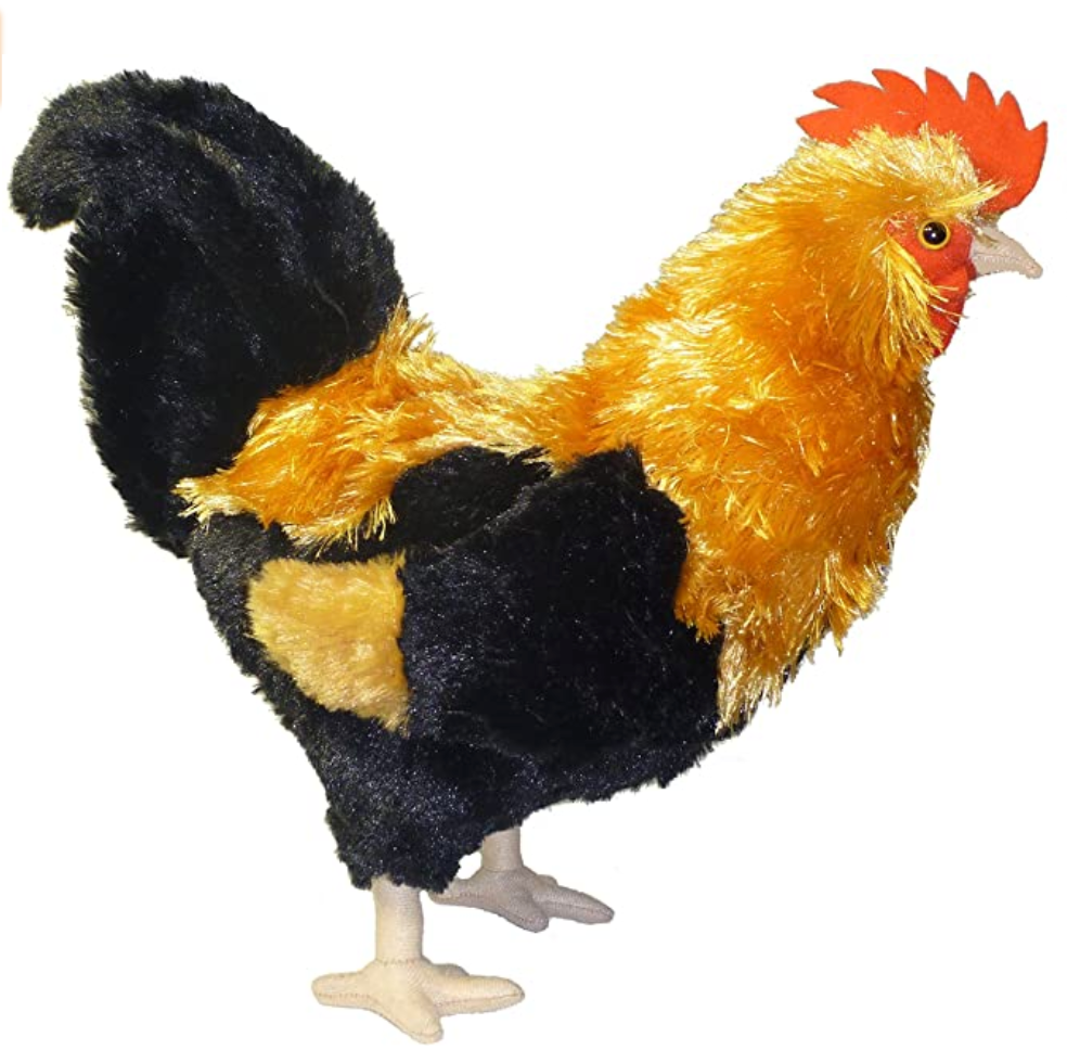 Maui Papa Rooster! — Lehua's Forest, Flower Arrangements & Fruit Trees