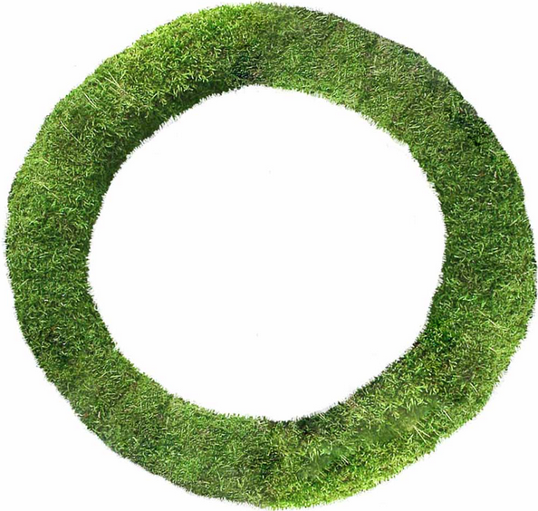 Moss Wreath Forms – Lehua's Forest, Flower Arrangements & Fruit Trees