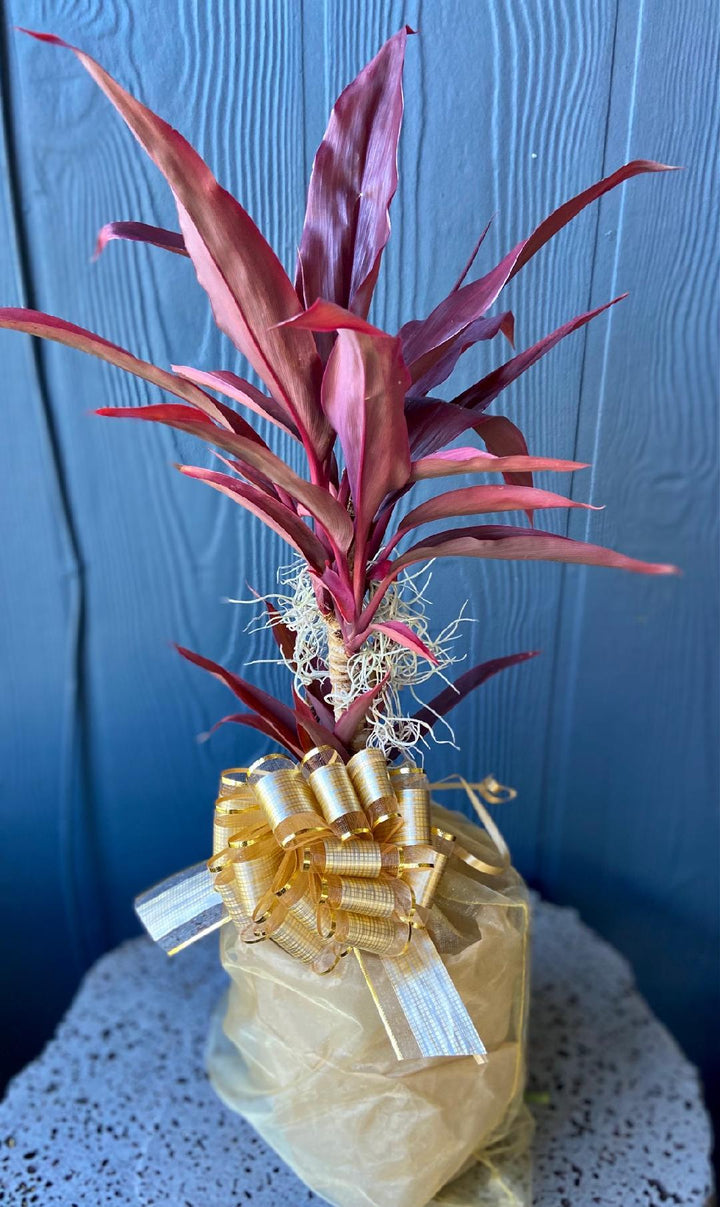 Lehua's Forest, Flower Arrangements & Fruit Trees – Lehua's Forest, Flower Arrangements & Fruit ...